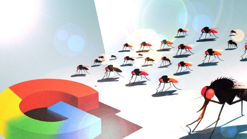 Google aims to debug California and Florida with 64 million mosquitoes