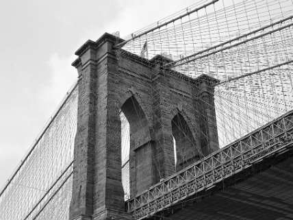 Rev. Bud Green Claims 'New Pot Party' Planted Mysterious Brooklyn ...