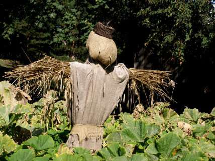 Another Would-Be Critic of Libertarianism Takes on a Straw Man