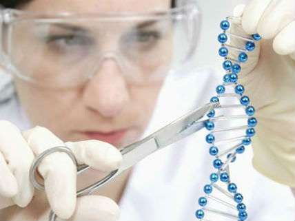 Easy New Gene Editing Technique CRISPR Conjures Fears of a Brave New World