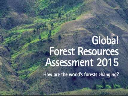 Global Deforestation Rate Has Fallen by Half Says New Report
