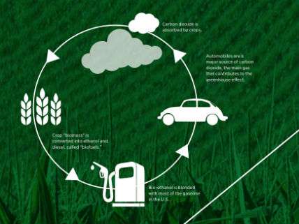 Infographic: Biofuels Are Dirtier Than You Think