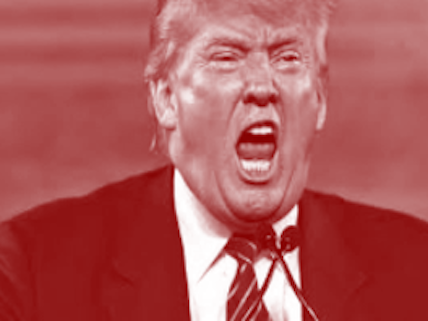 5 Republicans Liberals May Learn to Love in the Trump Era