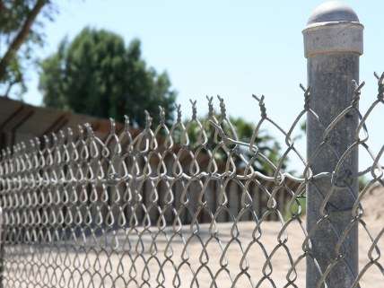 Brickbat: A Beautiful Wall