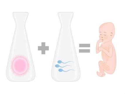 Skin Cells Into Babies: Bioethicists Freakout Again