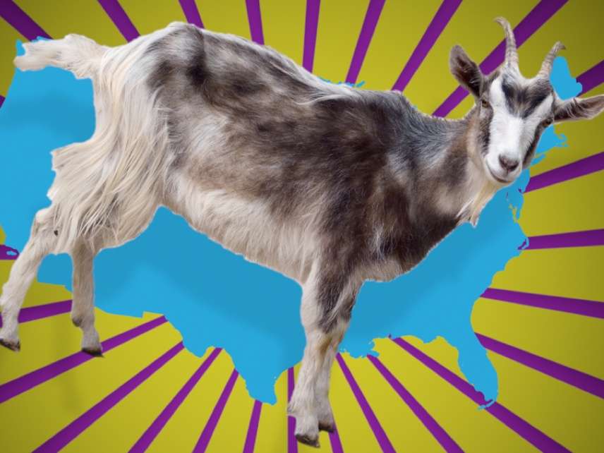 Goat Yoga Gets Baaaaaa-nned