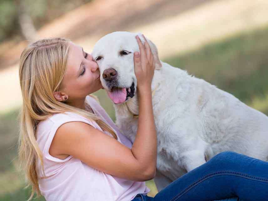 This Study, 'Rape Culture and Queer Performativity at Urban Dog Parks ...