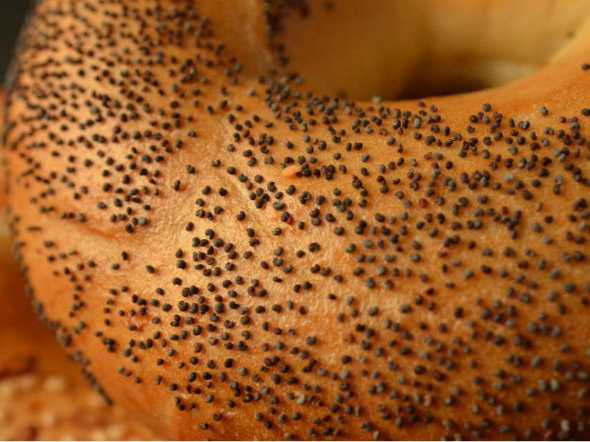 Mom of Newborn Reported to State for Eating a Poppy Seed Bagel