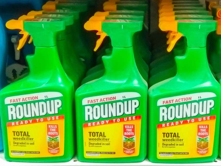 A New Study About Roundup and Cancer Doesn't Say What You Probably ...