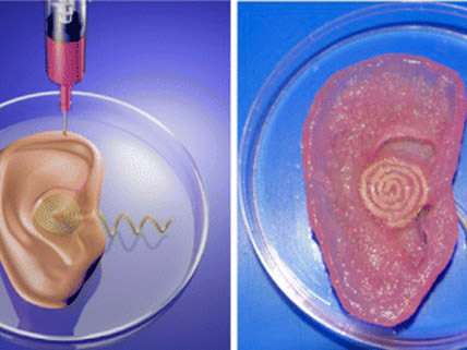 The Disgusting, Amazing Printed Ear - Reason.com