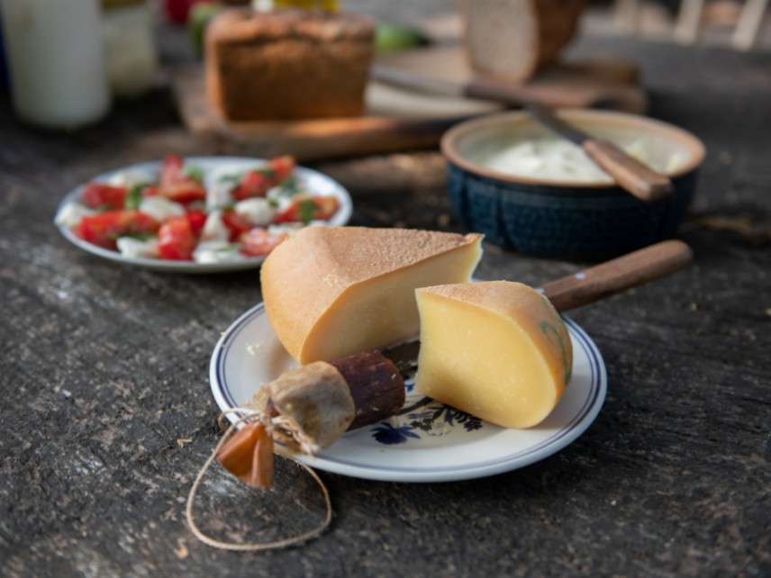 Cheese Fight Ends With Court Declaring Producers Can't Copyright Taste