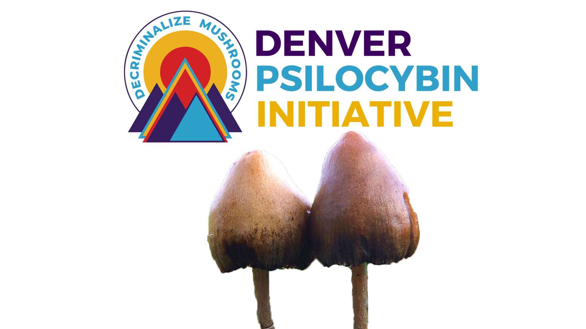 Denver Just Became the First U.S. City to Decriminalize Psychedelic ...