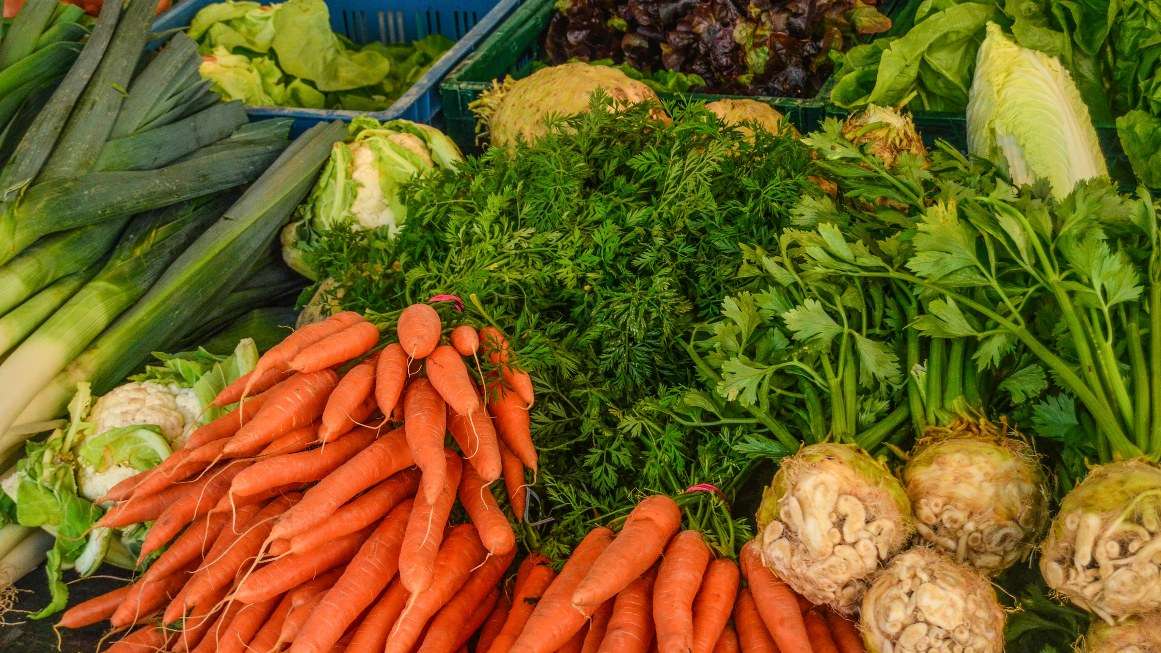 Brickbat: Rooted Out