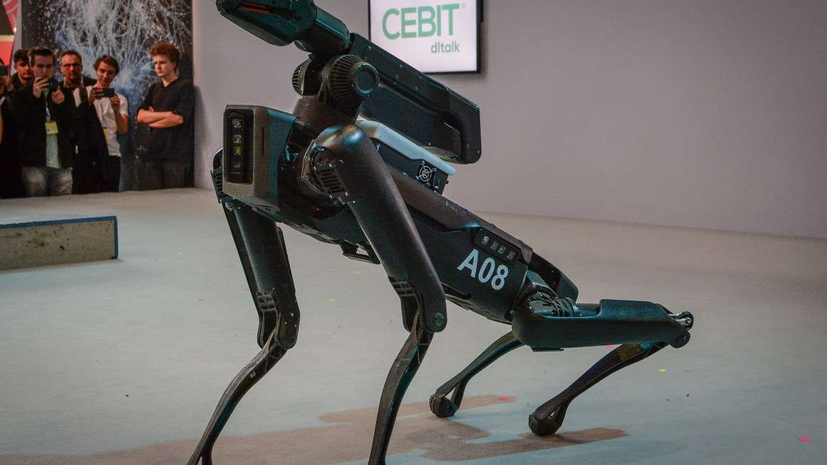 Massachusetts Police Test Out Robot Dogs. Is Dystopia on Its Way?