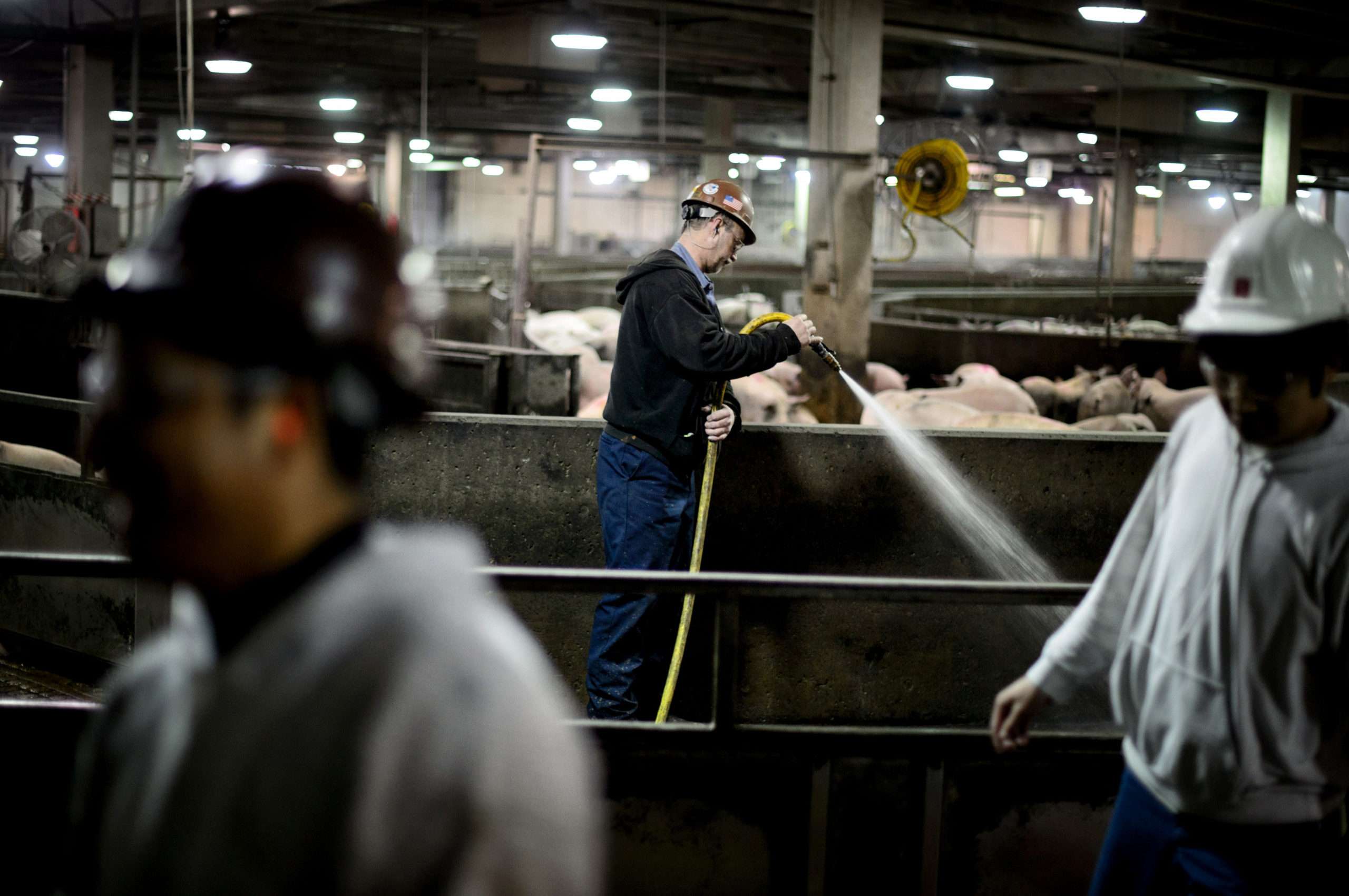 COVID-19 Could Fundamentally Change America’s Food Supply