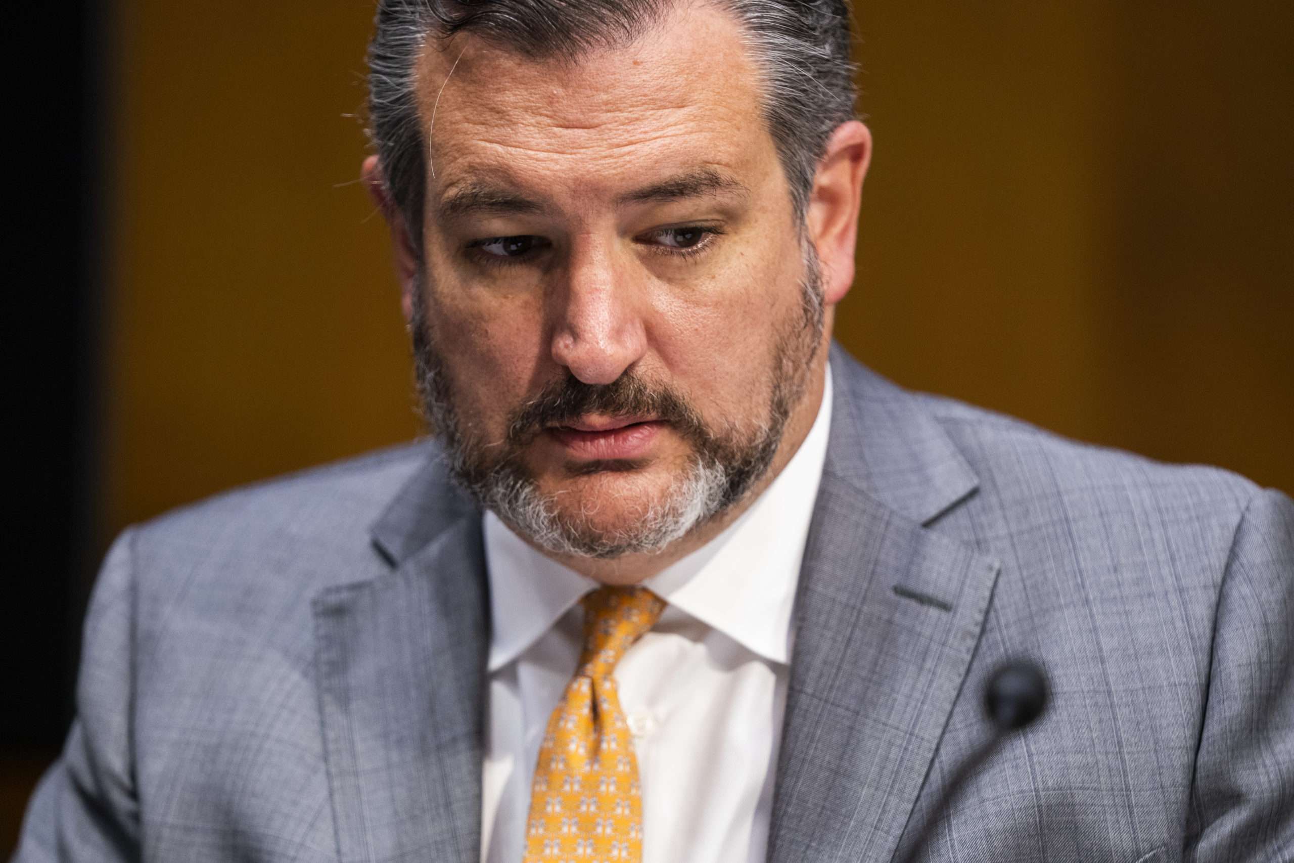 Ted Cruz Isn't the Only Politician Talking Nonsense About Tech ...