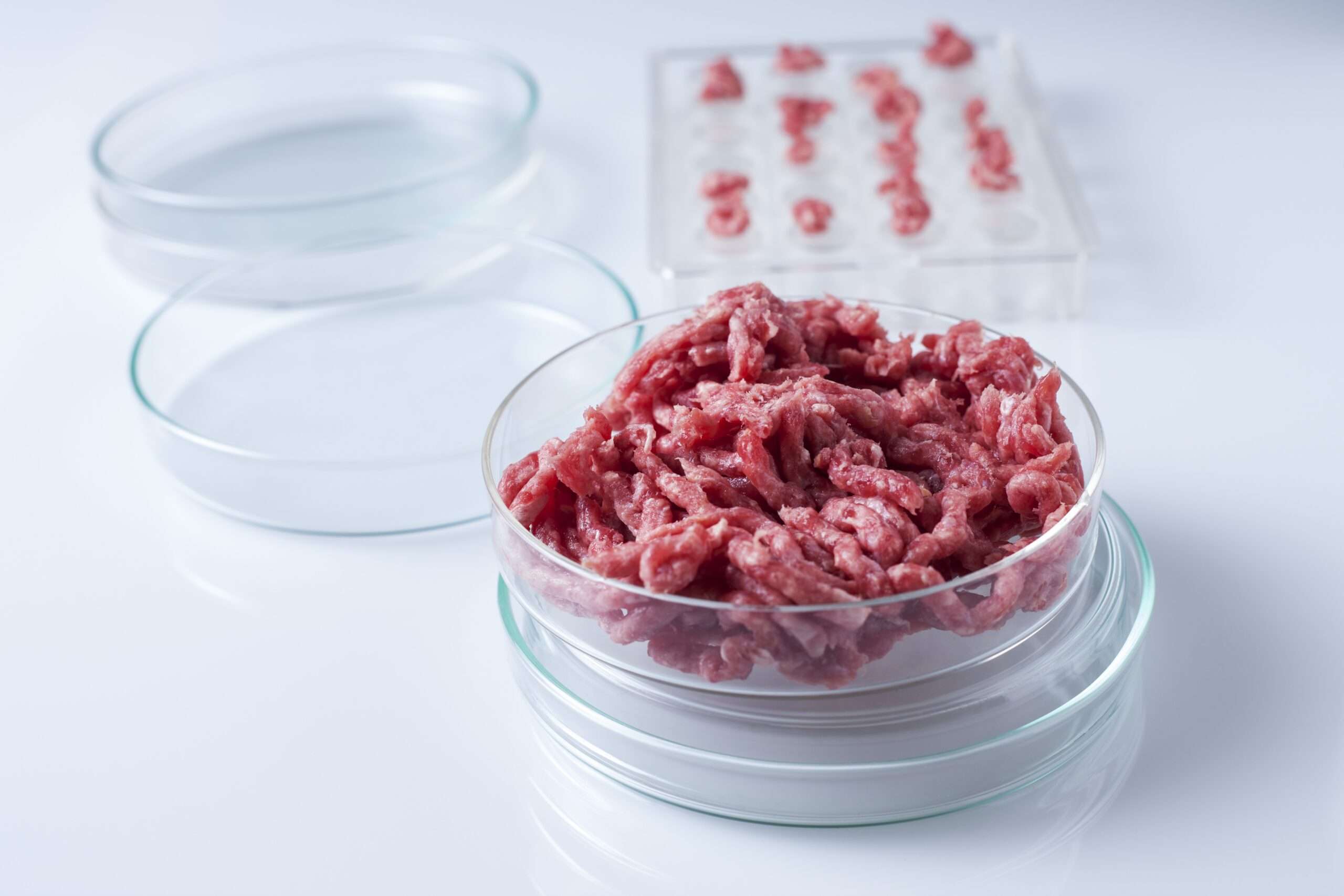 Cultivated Meat Projected To Be Cheaper Than Conventional Beef by 2030