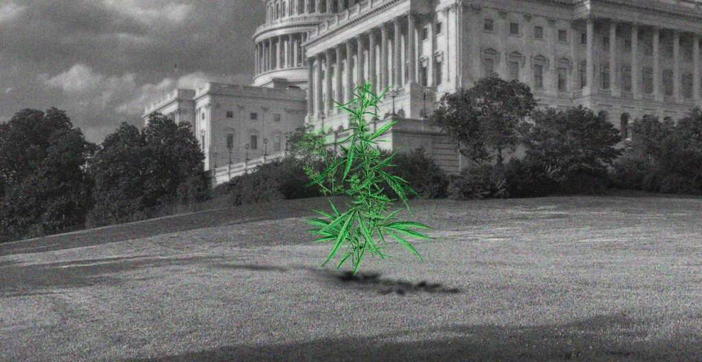 Congress Is Closer Than Ever to Ending the Federal War on Weed