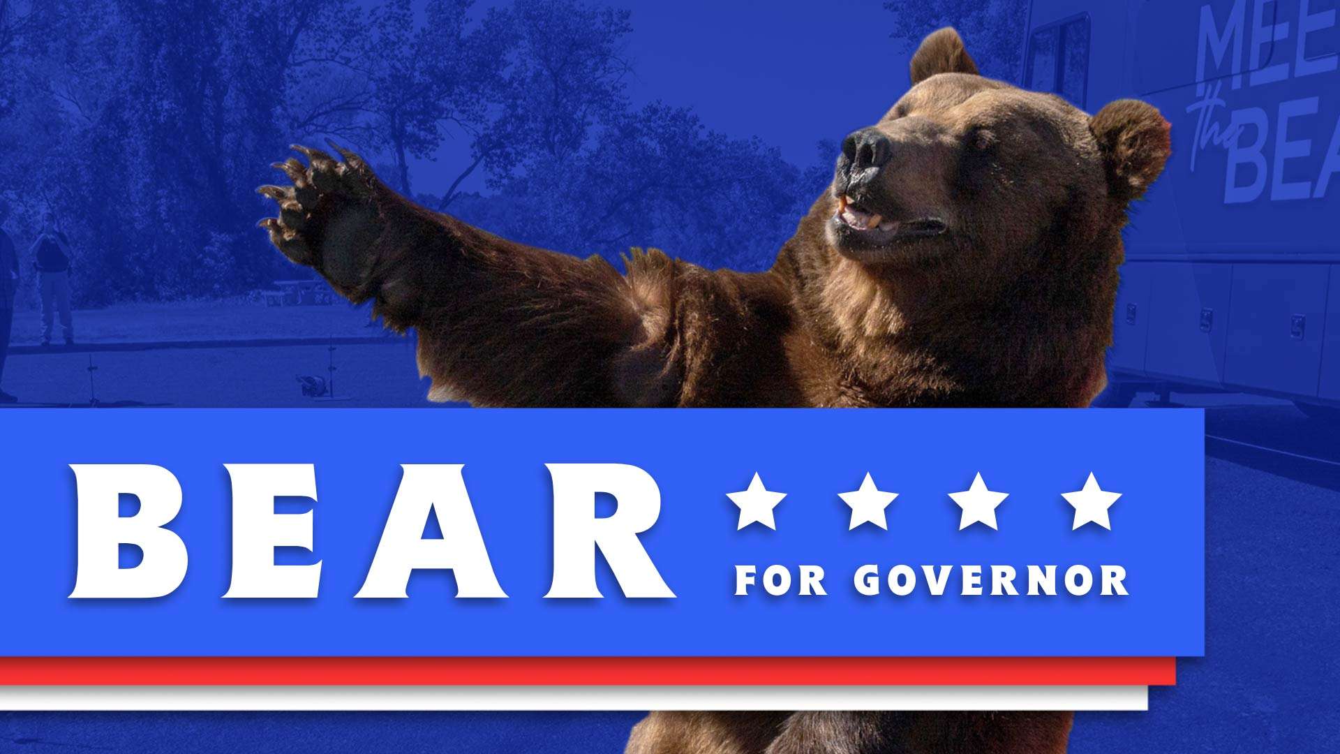 Vote Bear - Reason.com