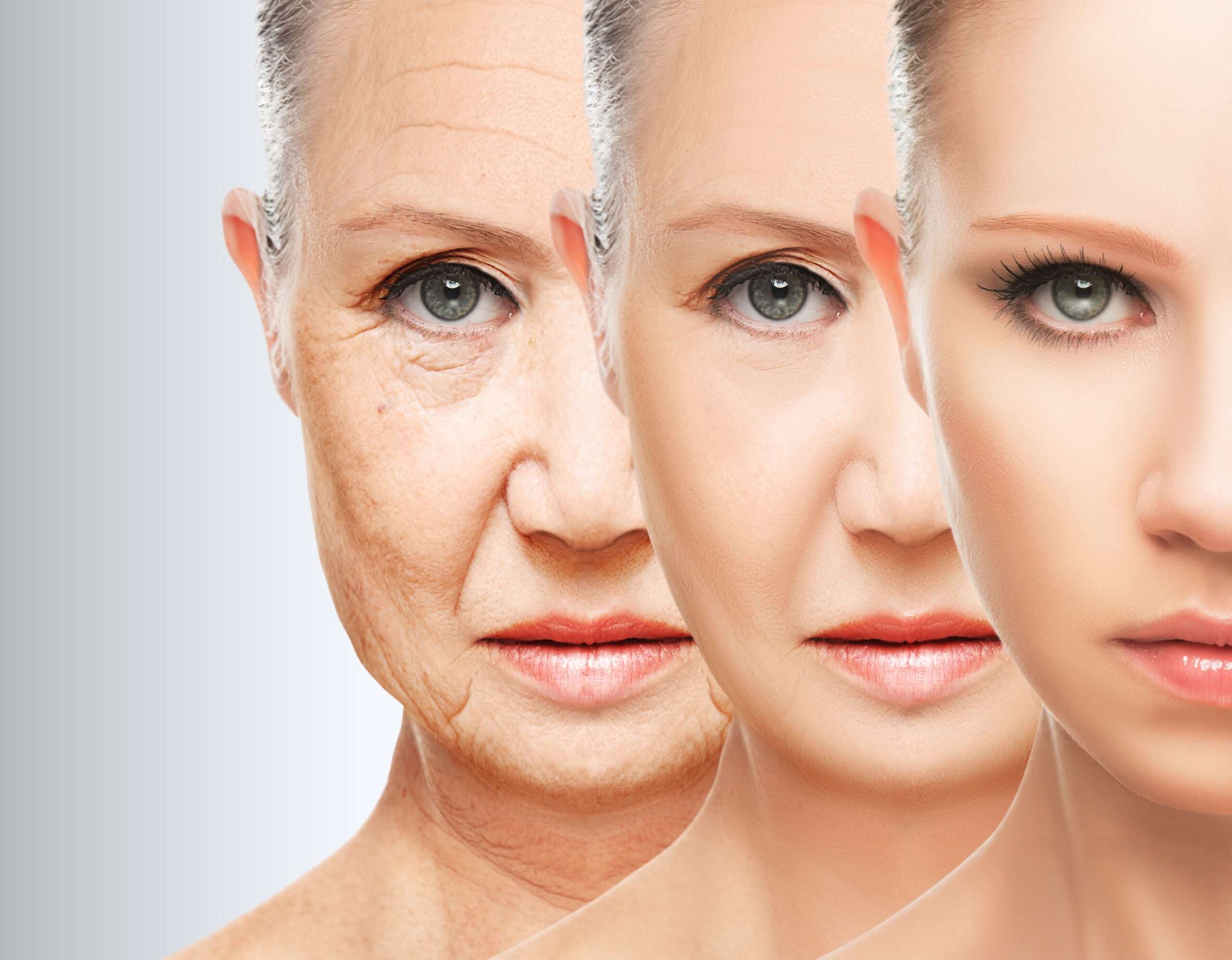 We Can't Cheat Aging and Death, Claims New Study