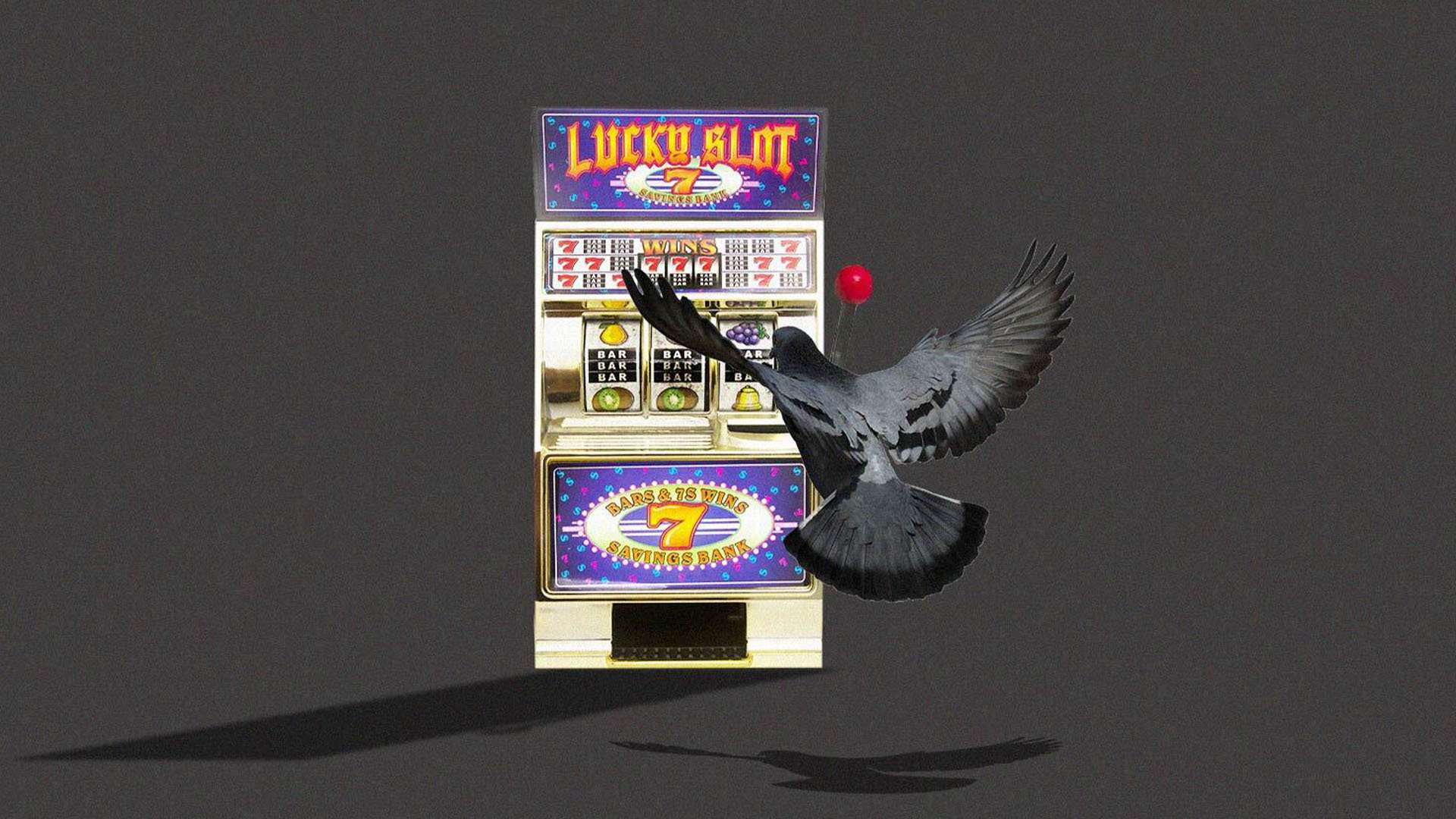 Rand Paul: Feds Wasted $52 Billion on Slot Machine-Playing Pigeons ...