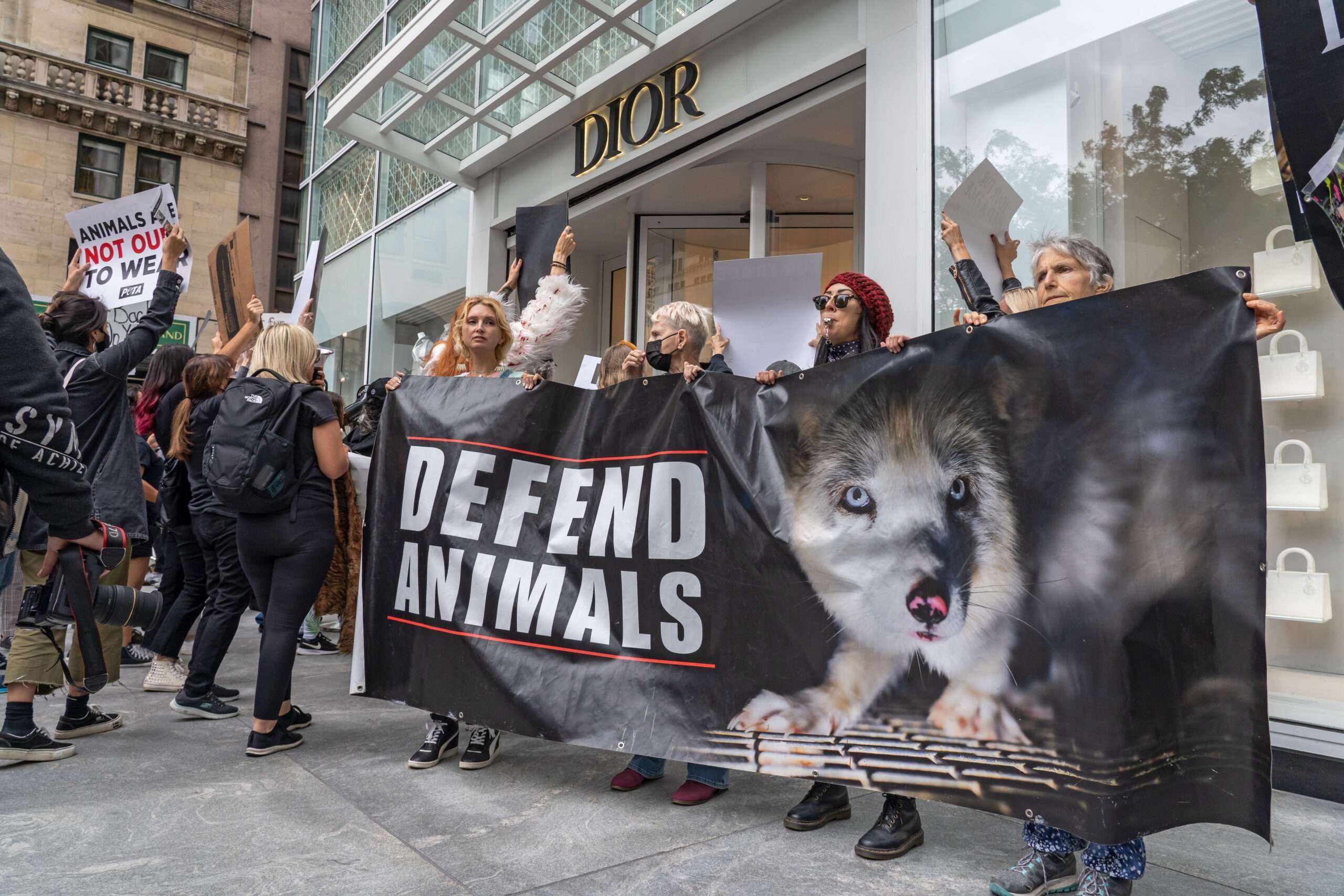PETA Sues for Its Free Speech Rights, Again