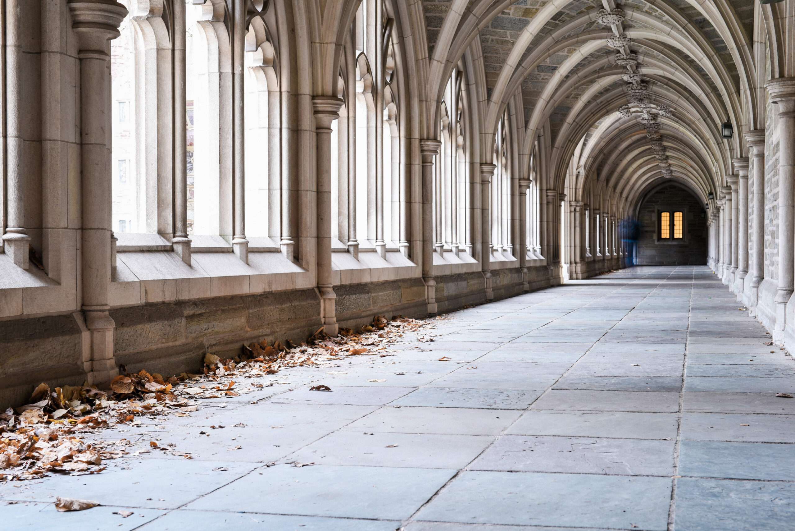 Art Curator Accuses Princeton University of 'Anti-Intellectual ...