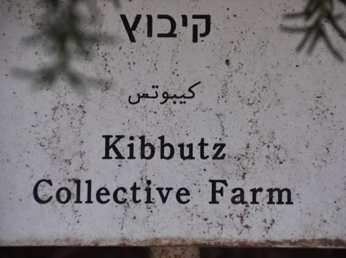 Economic Liberalization on Israeli Kibbutzim Increases Support for Markets