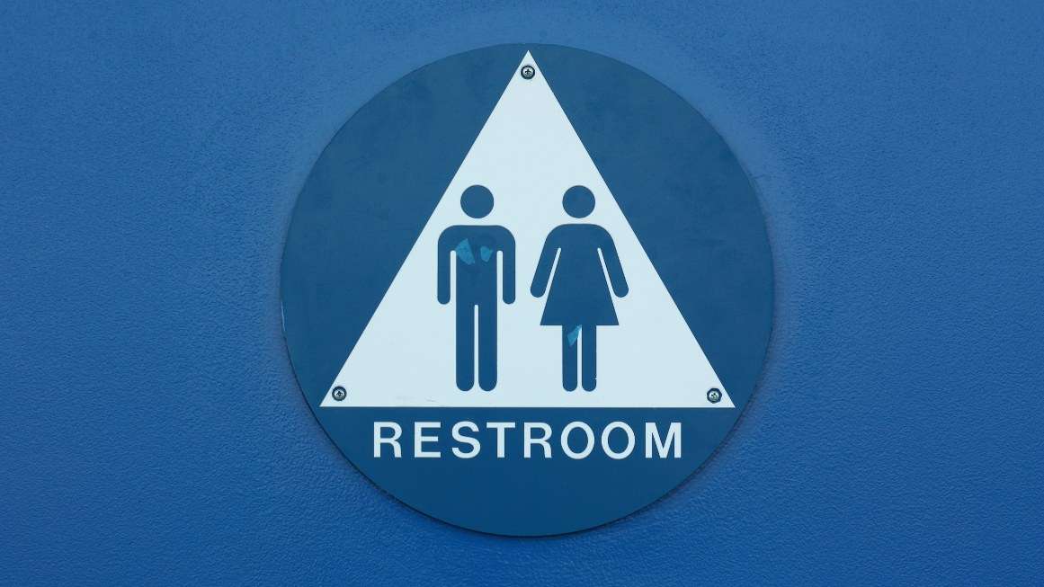 Brickbat: Down the Toilet