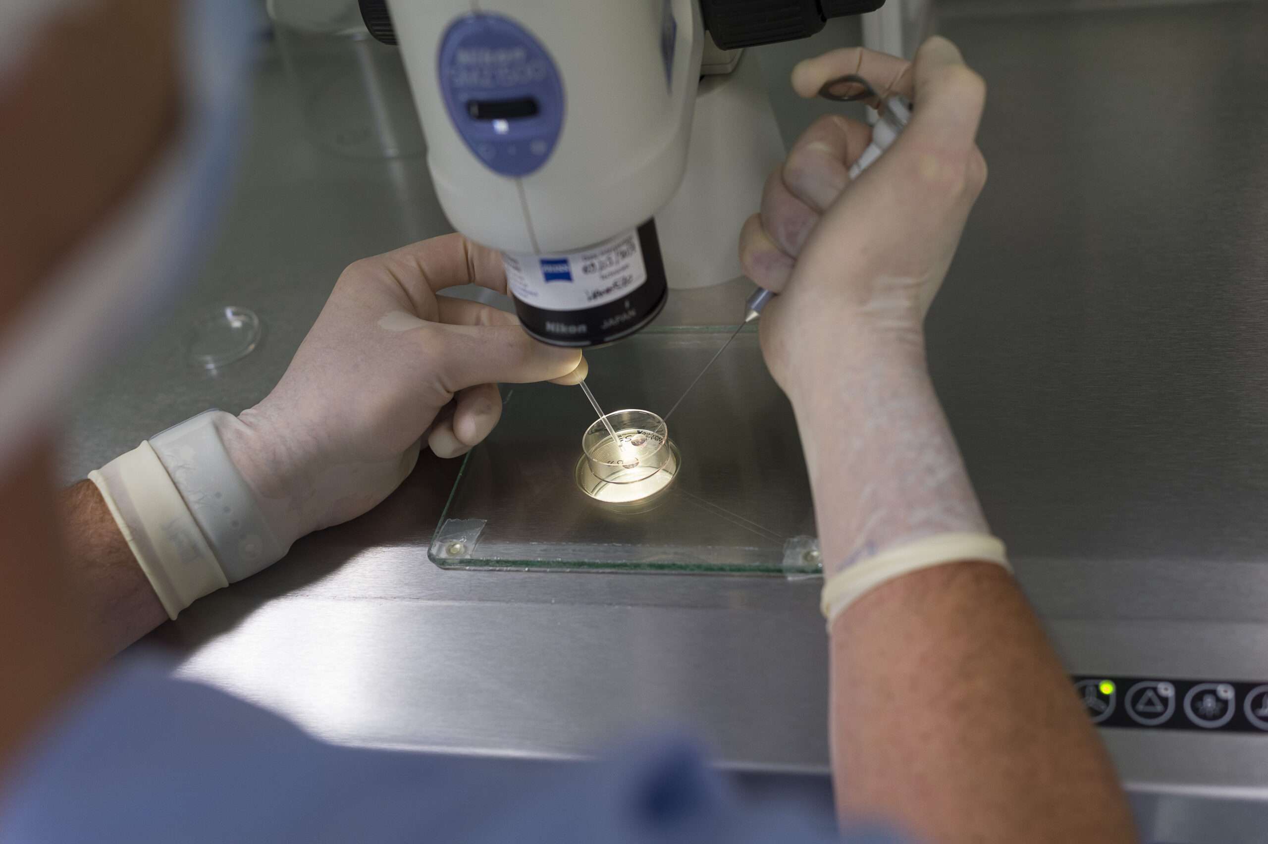 GOP Senator Blocks IVF Protection Bill From Passing
