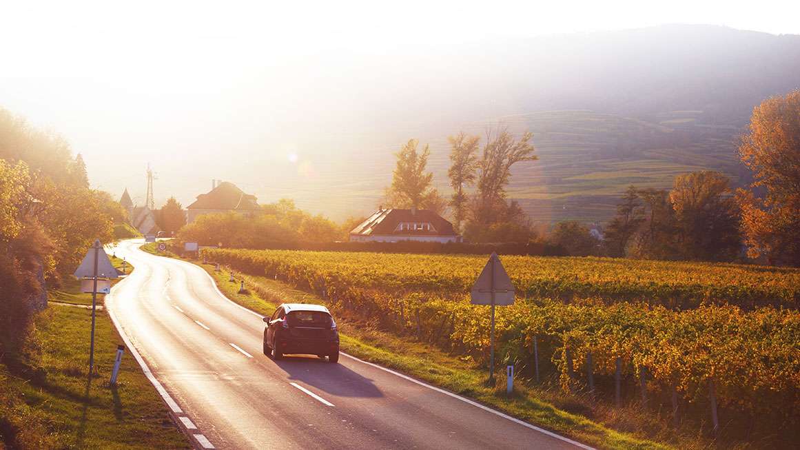 To See the Country, Road Trips Are the Only Way To Go