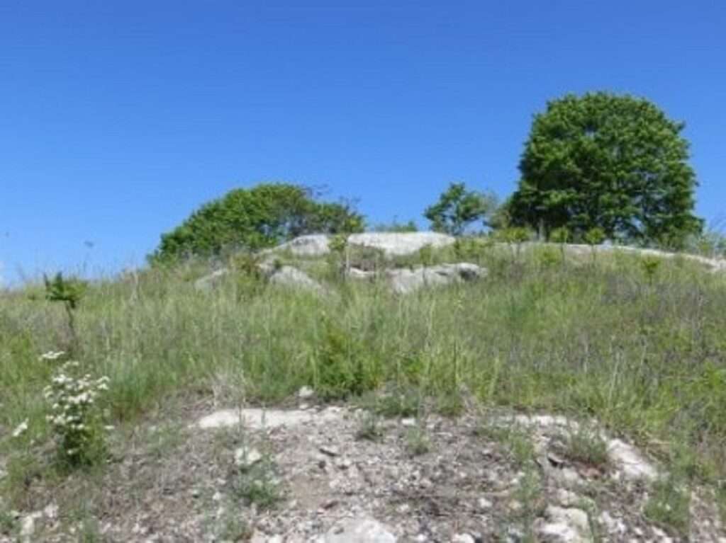New London Gives $6.5 Million in Tax Breaks to Developer Planning to ...