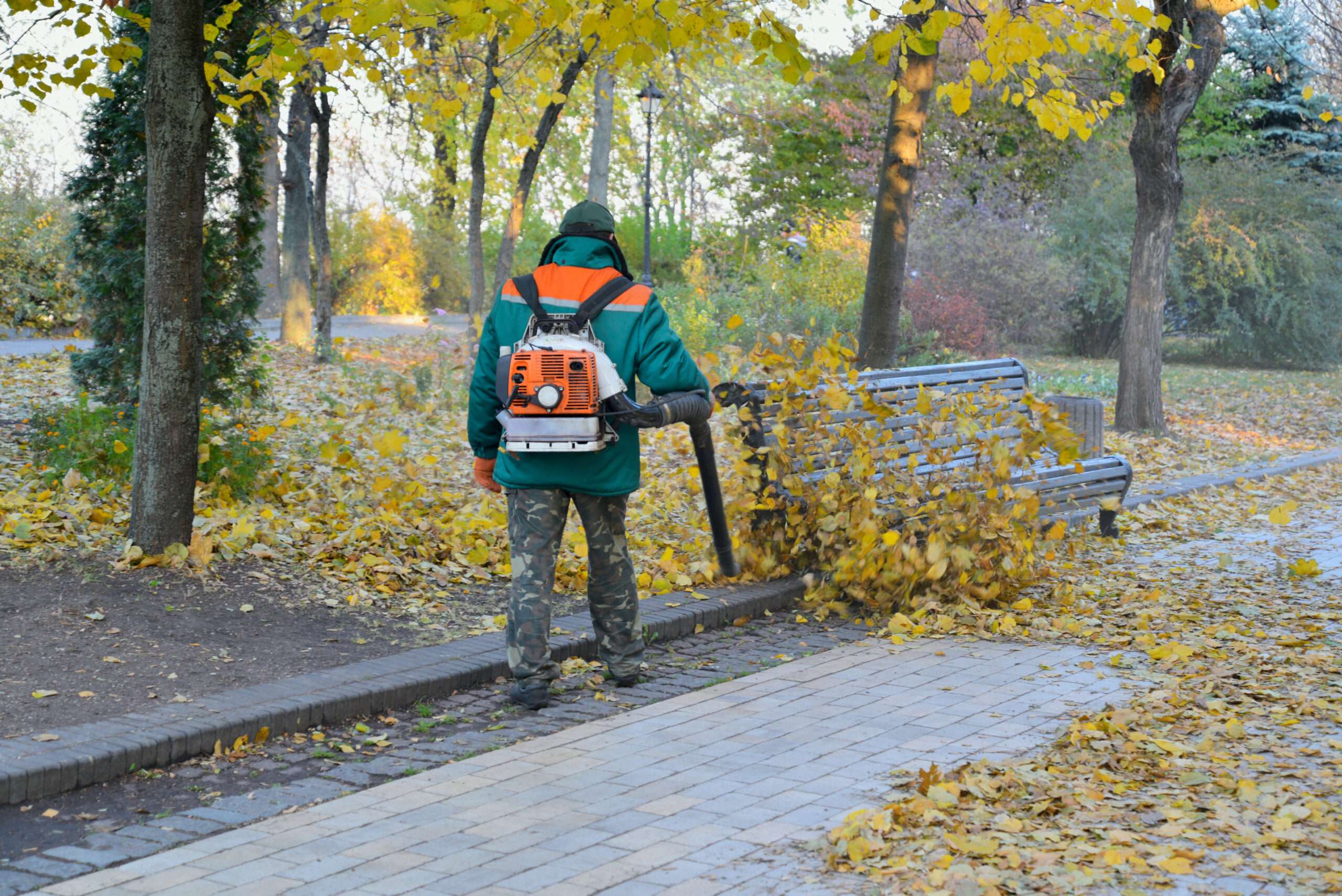 Brickbat: Turning Over a New Leaf