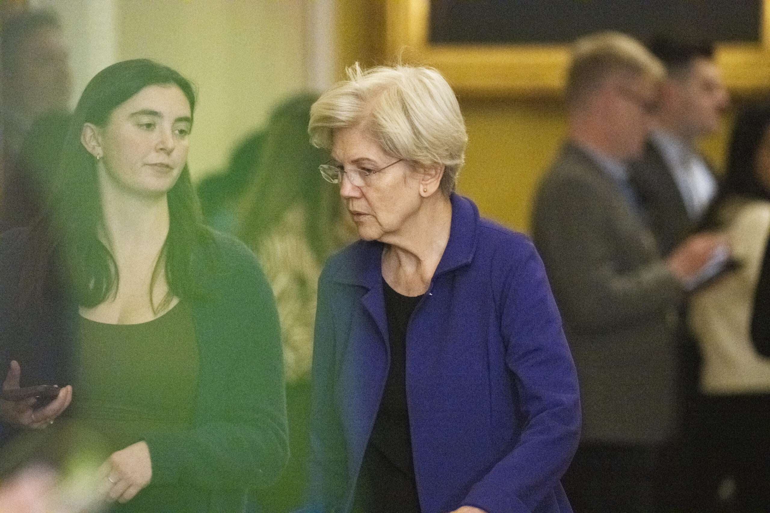 Elizabeth Warren, CEO-Assassin Cheerleader