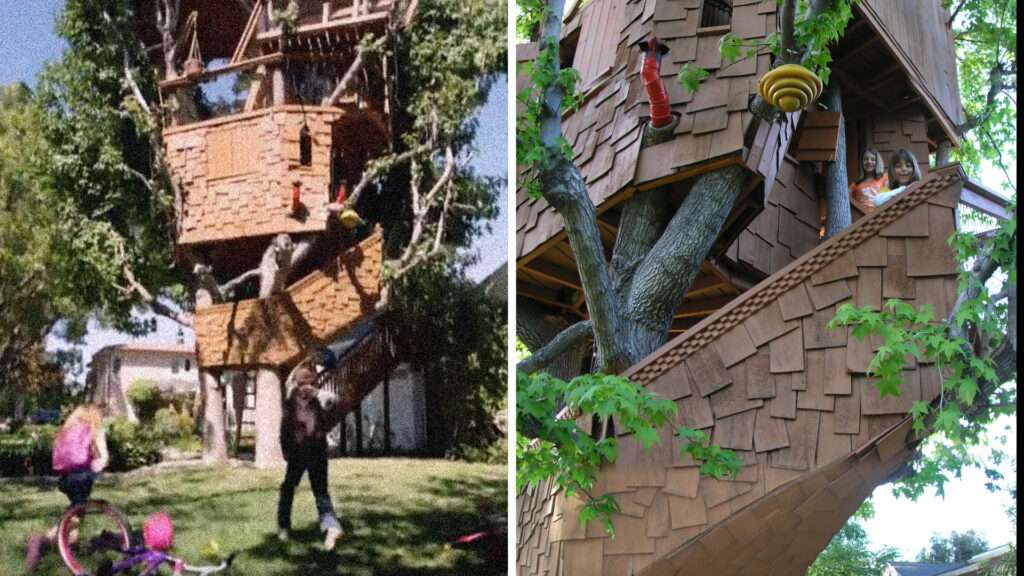 Los Angeles destroys beloved neighborhood tree house
