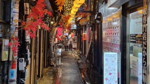 Japan's flexible zoning laws allow small businesses to flourish