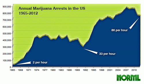 Despite Huge Increase in Marijuana Busts, Pot Smokers Seem Undeterred
